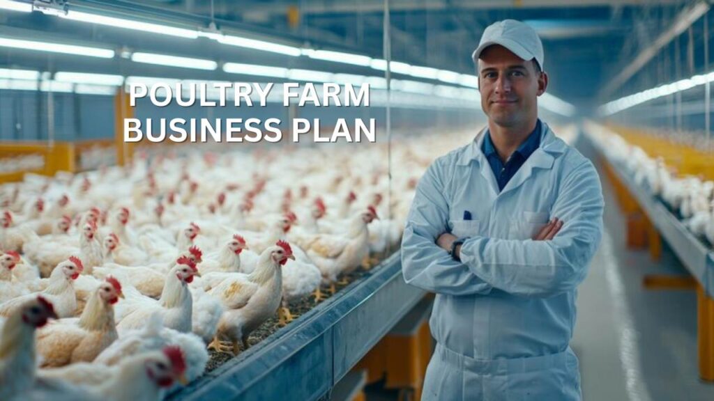 Poultry Farming Business Plan 2025: Costs & Setup Guide